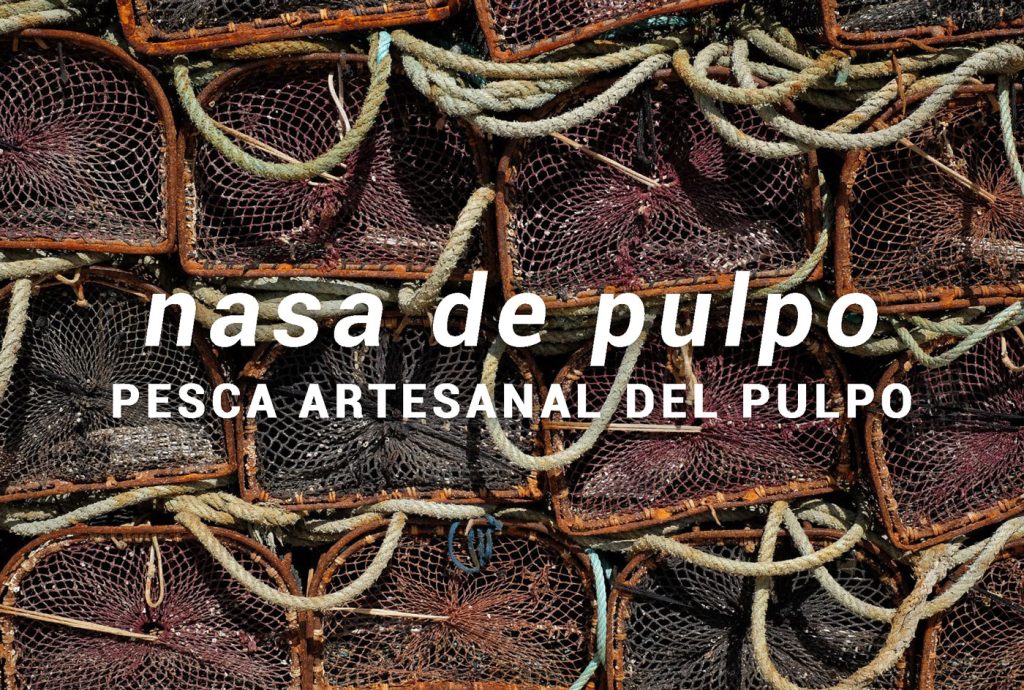 La pesca artesanal del pulpo: la nasa de pulpo | A Despensa da Ría